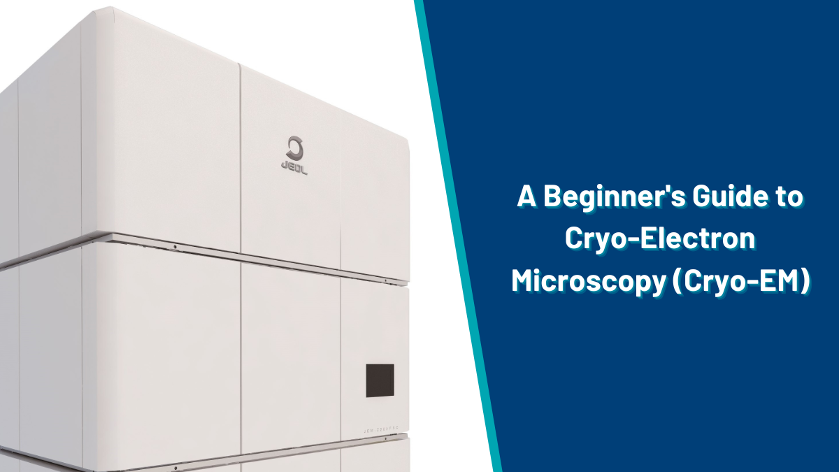 JEOL USA blog | Understanding Radiation Damage in Cryo-Electron M