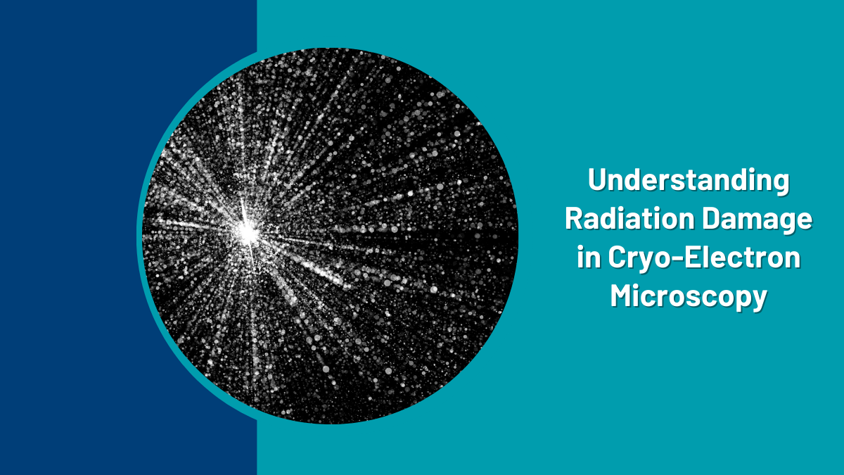 JEOL USA blog | Understanding the Basics of 3D Electron Microscop