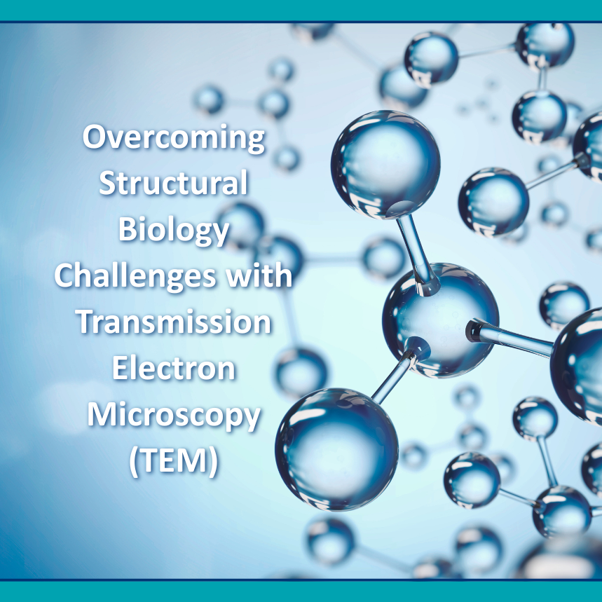 JEOL USA blog | What is Transmission Electron Microscopy?