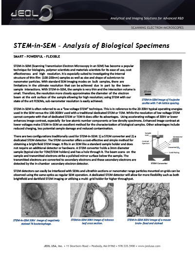 STEM-in-SEM – Analysis of Biological Specimens | JEOL Resources