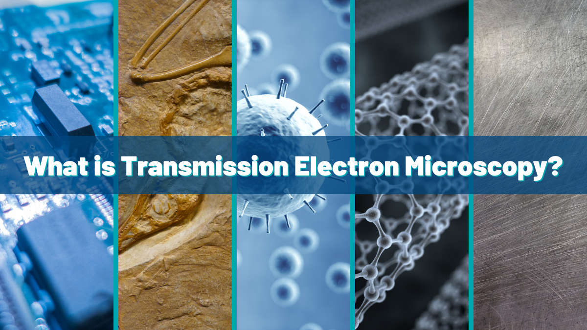 JEOL USA blog | What is Transmission Electron Microscopy?