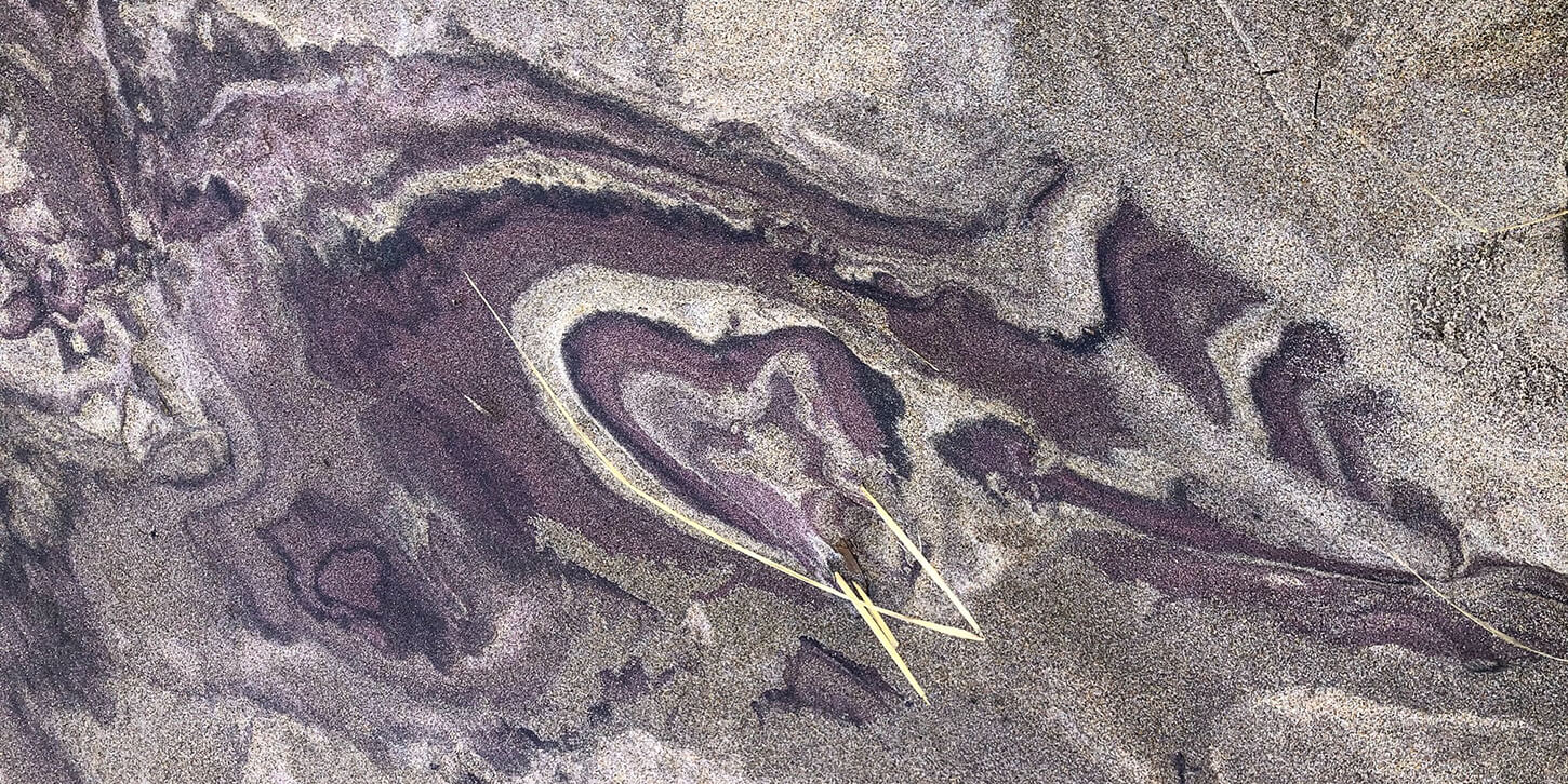 JEOL USA blog | Why is the Sand Purple at Plum Island Beach?