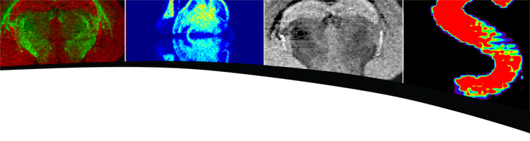 JEOL USA MALDI Imaging SpiralTOF™ Mass Spectrometer