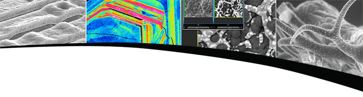 JEOL USA | JSM-IT200 High-Throughput SEM Microscope