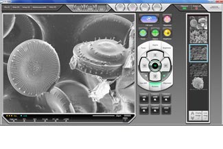 JEOL USA JCM-6000PLUS NeoScope Benchtop SEM