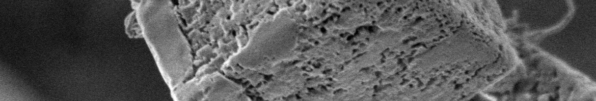 JEOL USA Scanning Electron Microscopes (SEM)