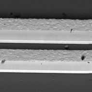 JEOL USA JCM-6000PLUS NeoScope Benchtop SEM