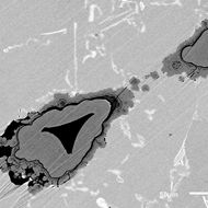 JEOL USA JCM-6000PLUS NeoScope Benchtop SEM
