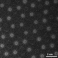 JEOL USA JEM-F200 F2 Transmission Electron Microscope